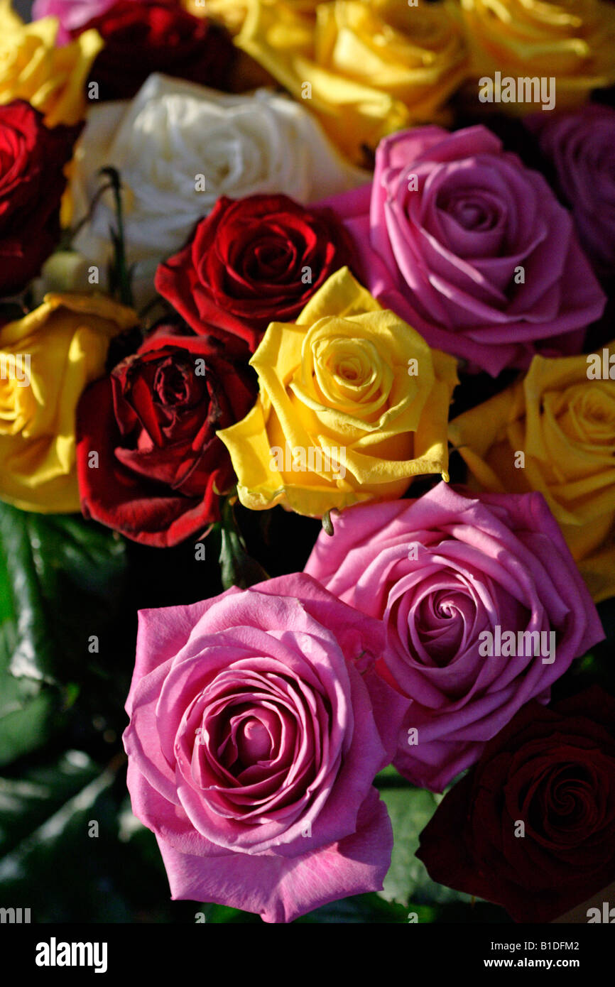 Ornamental parts of architecture hi-res stock photography and images ...