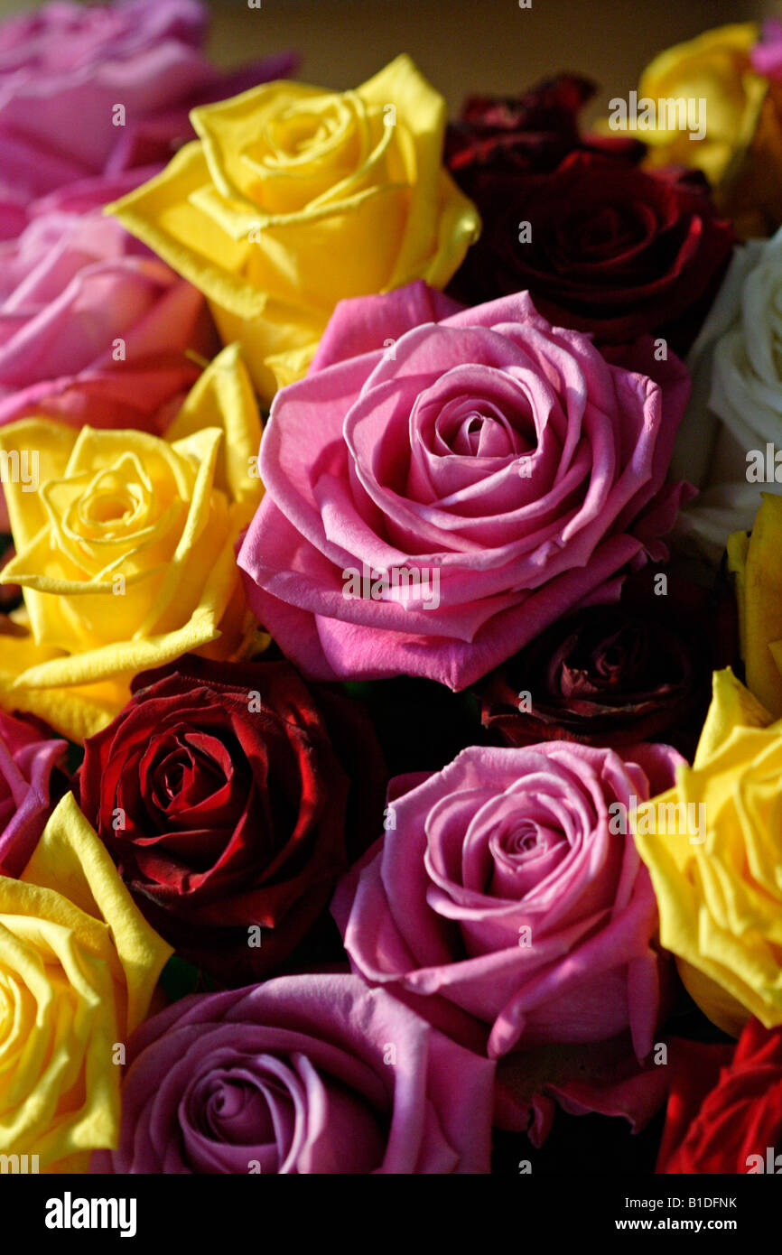 Ornamental parts of architecture hi-res stock photography and images ...