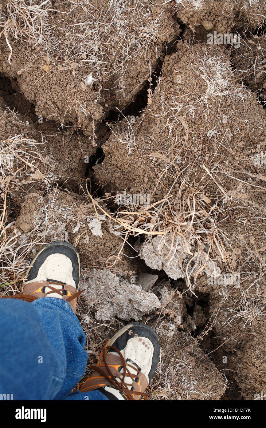 Dry soil in Santa Maria island, Azores islands, Portugal Stock Photo ...