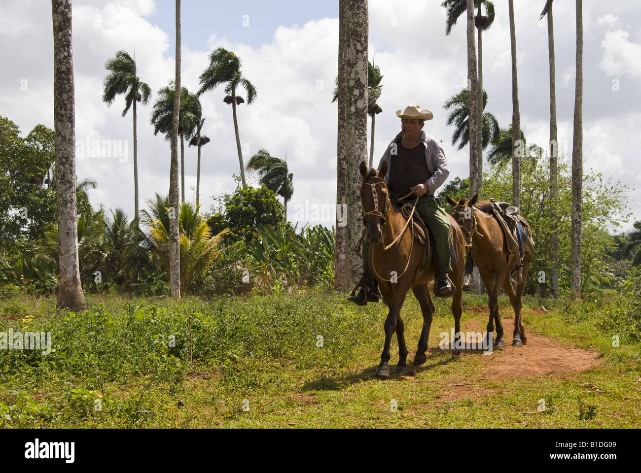 Viñales horse riding hi-res stock photography and images - Alamy