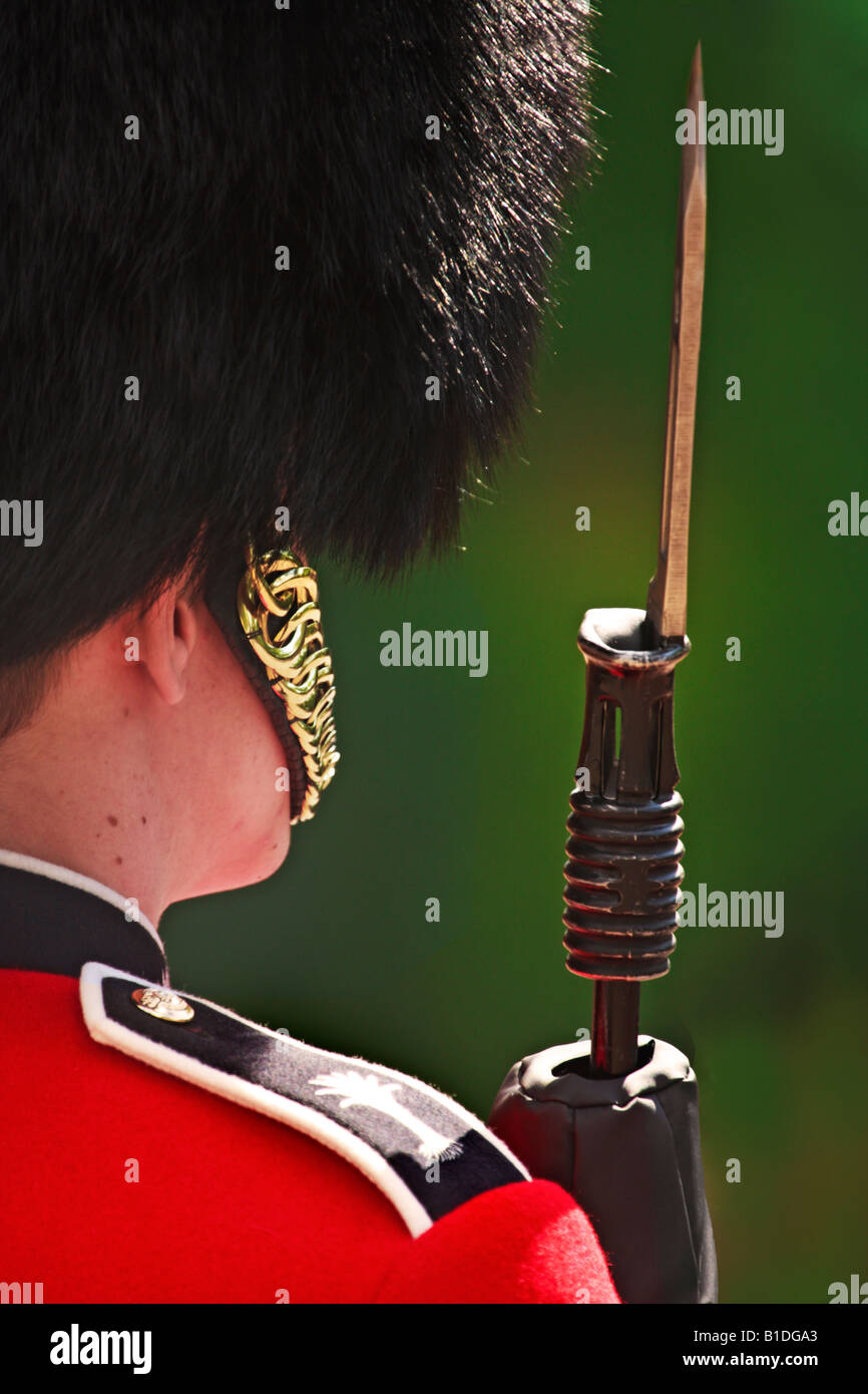 Ceremonial rifle hi-res stock photography and images - Alamy
