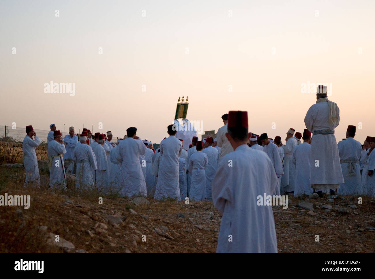 A Samaritan high priest raises a Torah scroll during Shavuot or Feast ...