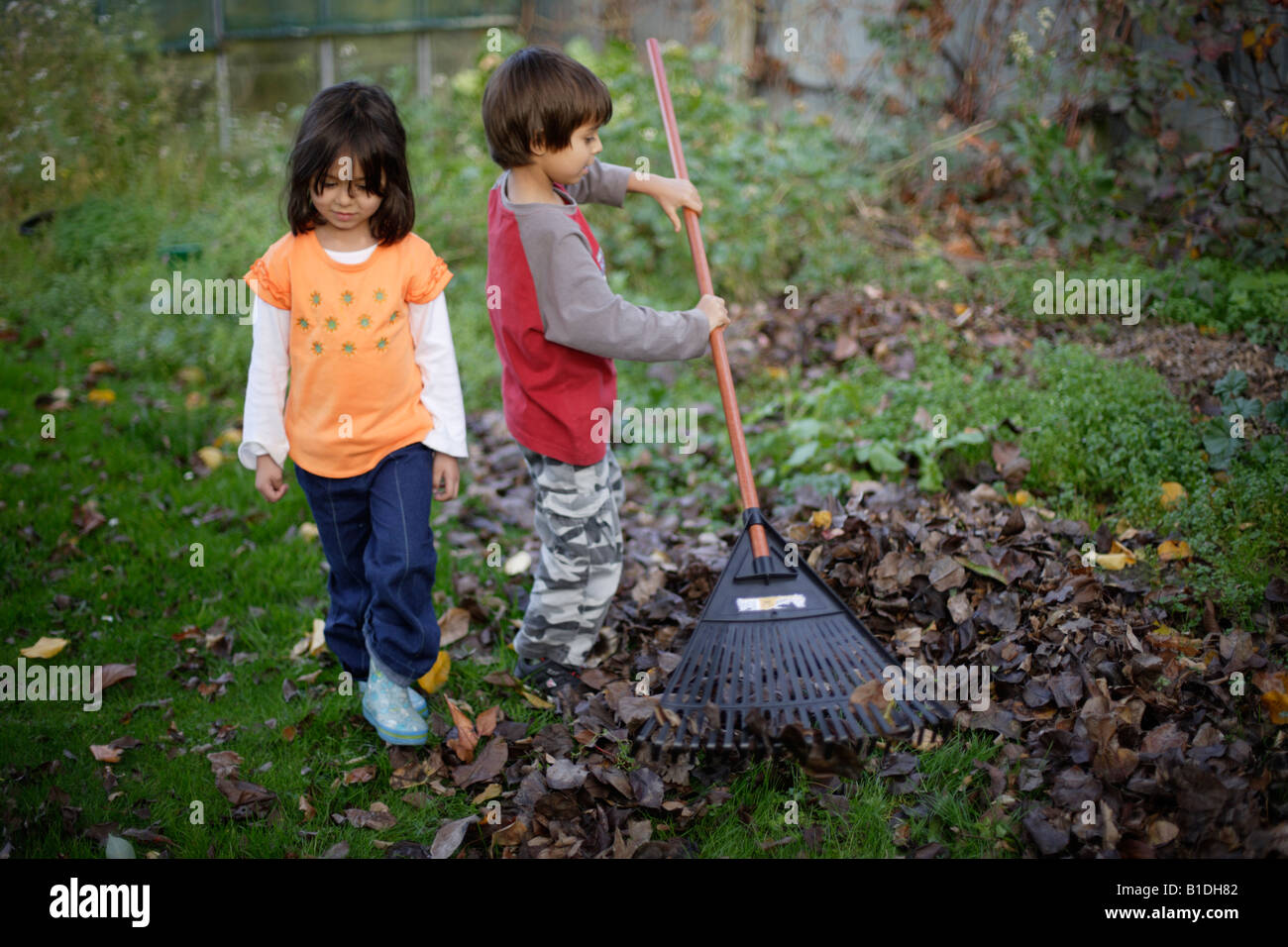 Children raking leaves hi-res stock photography and images - Alamy