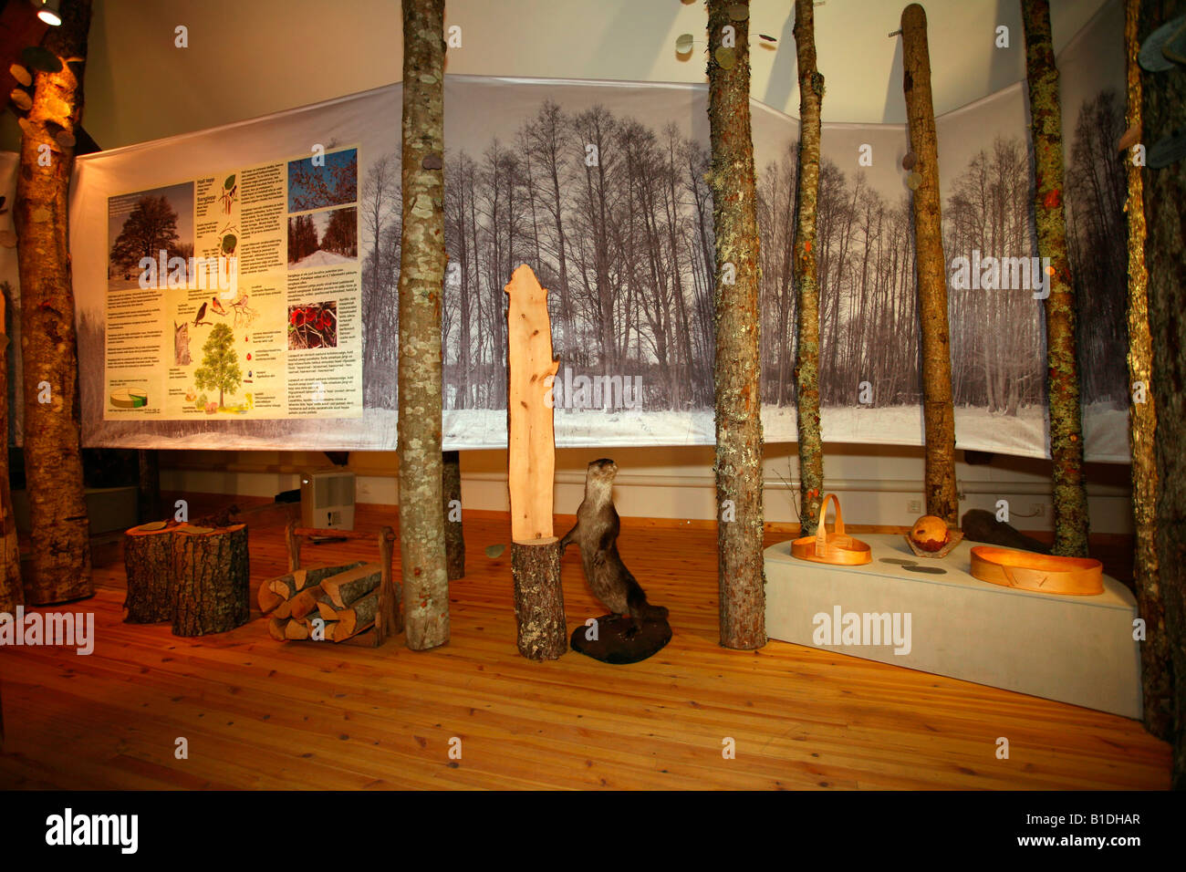 Estonia: Lahemaa National Park: Sagadi Manorial Estate: Forest Museum ...
