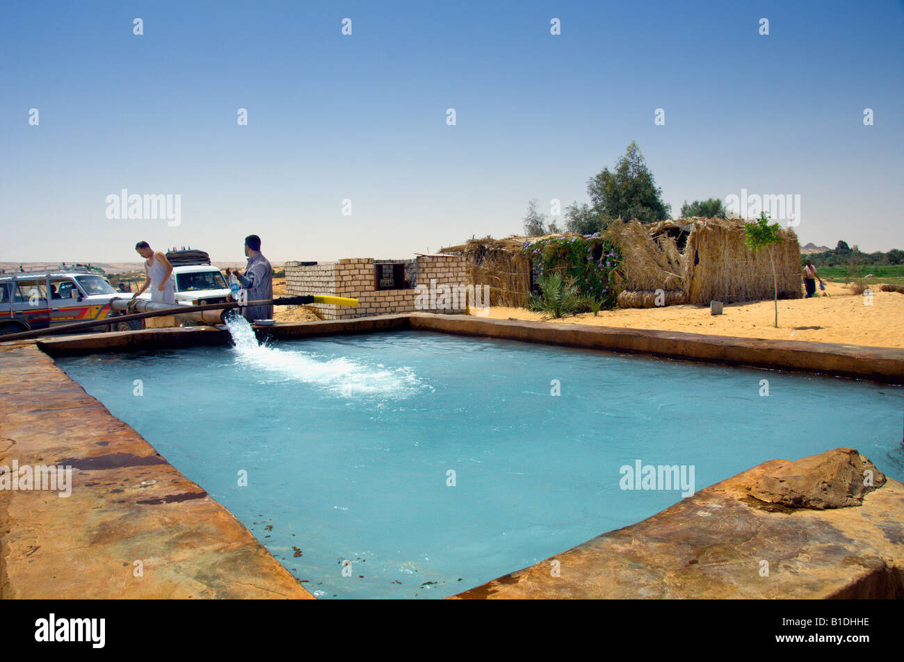 An irrigation pond at the Farafra Oasis in western Egypt Stock Photo ...