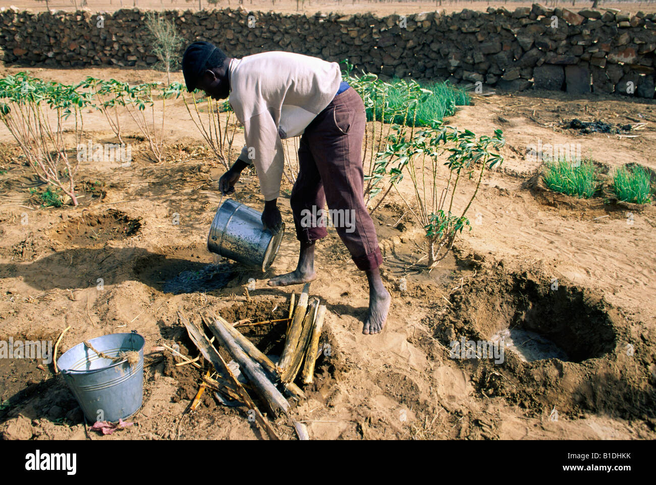 Mali agriculture dry hi-res stock photography and images - Alamy