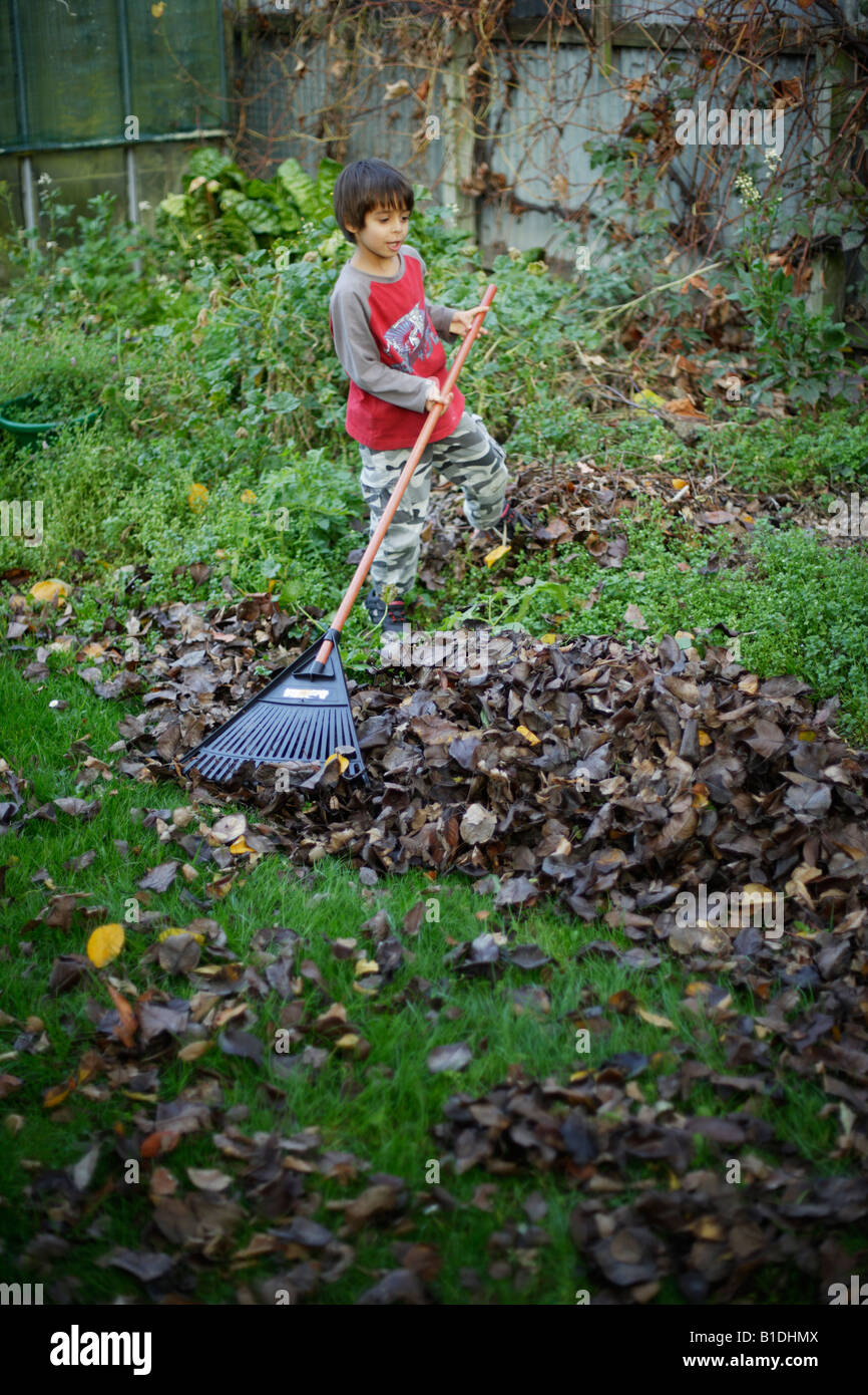 Child Raking Leaves High Resolution Stock Photography and Images - Alamy
