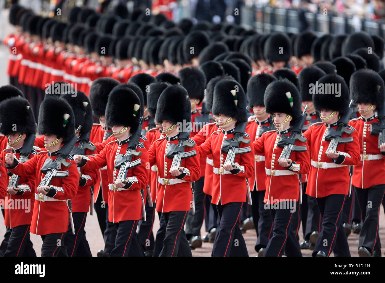 Trooping of the Colours 2008 The Guards Regiment marching in London ...