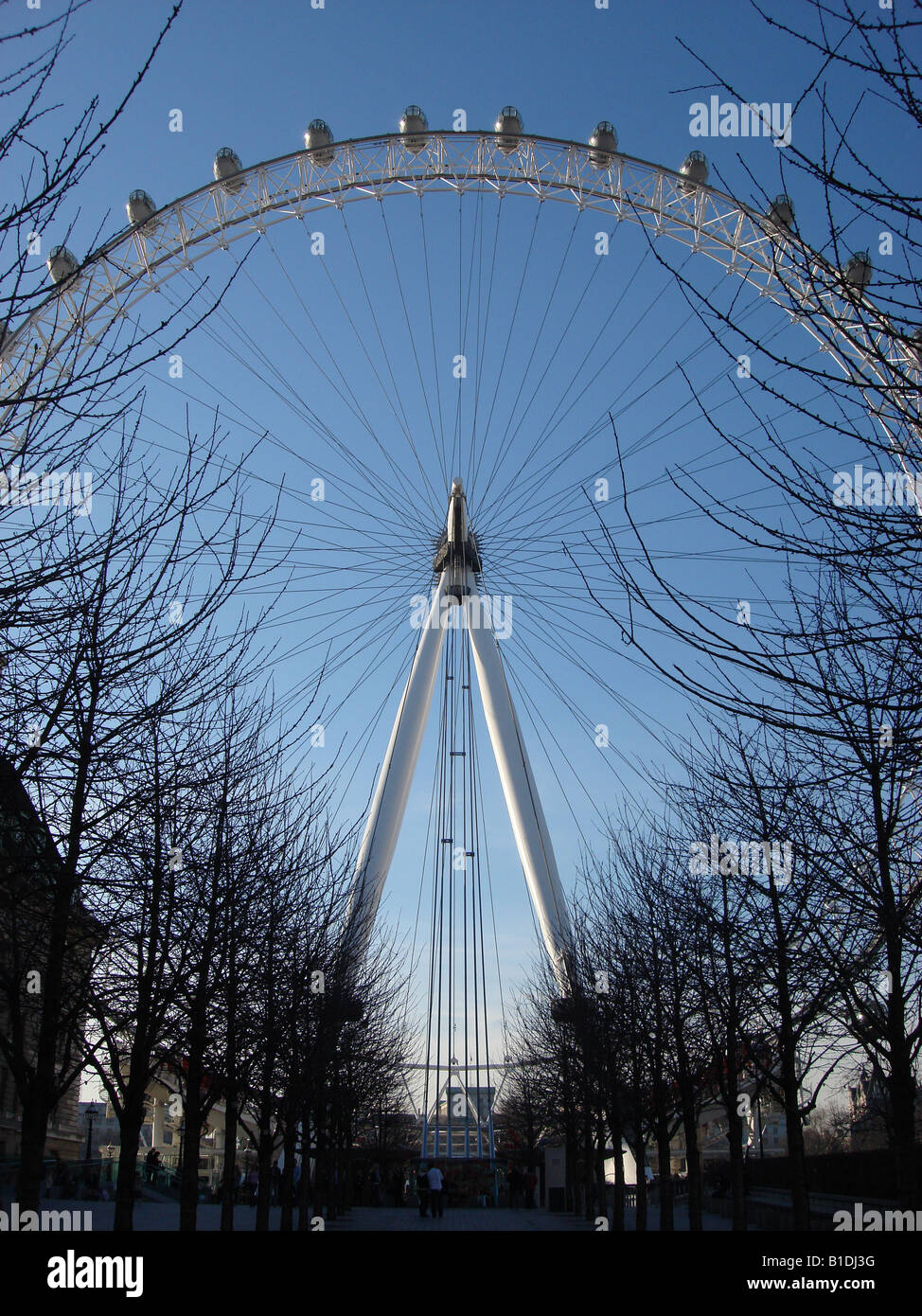 The London Eye framed by trees Stock Photo - Alamy