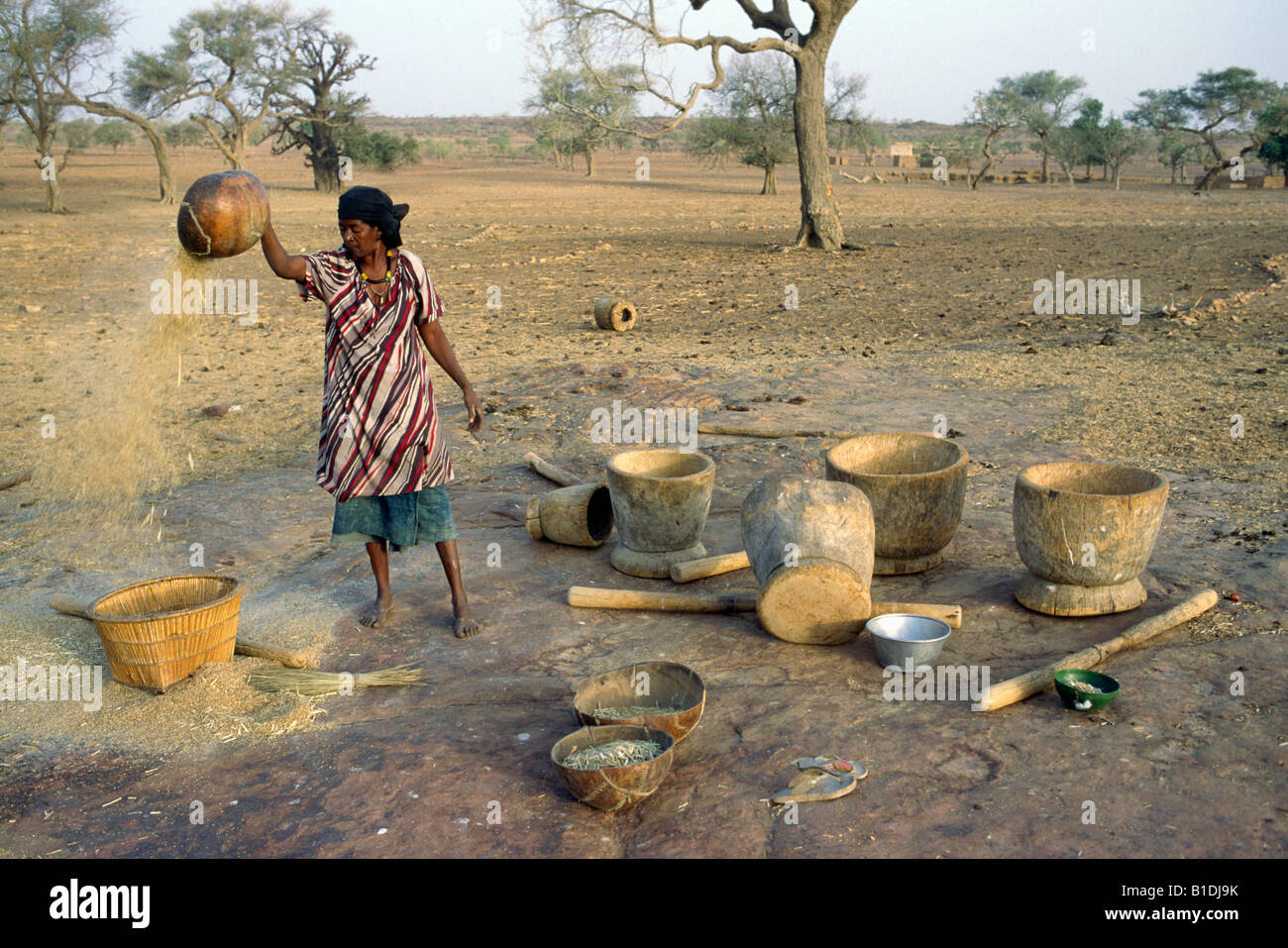 Chaff hi-res stock photography and images - Alamy