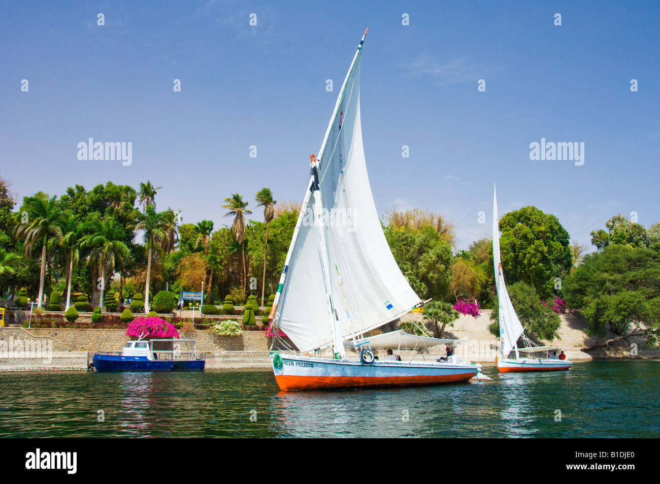 Felucas on the Nile river near the Botanical Gardens at Aswan Egypt ...