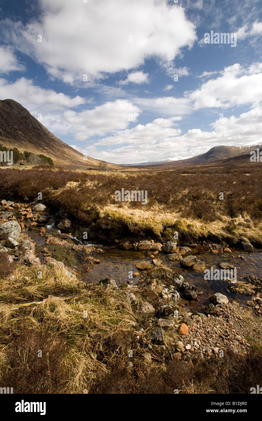Nature scotland uk natural hi-res stock photography and images - Alamy