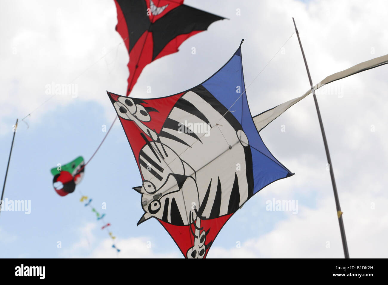 Cat kite hi-res stock photography and images - Alamy