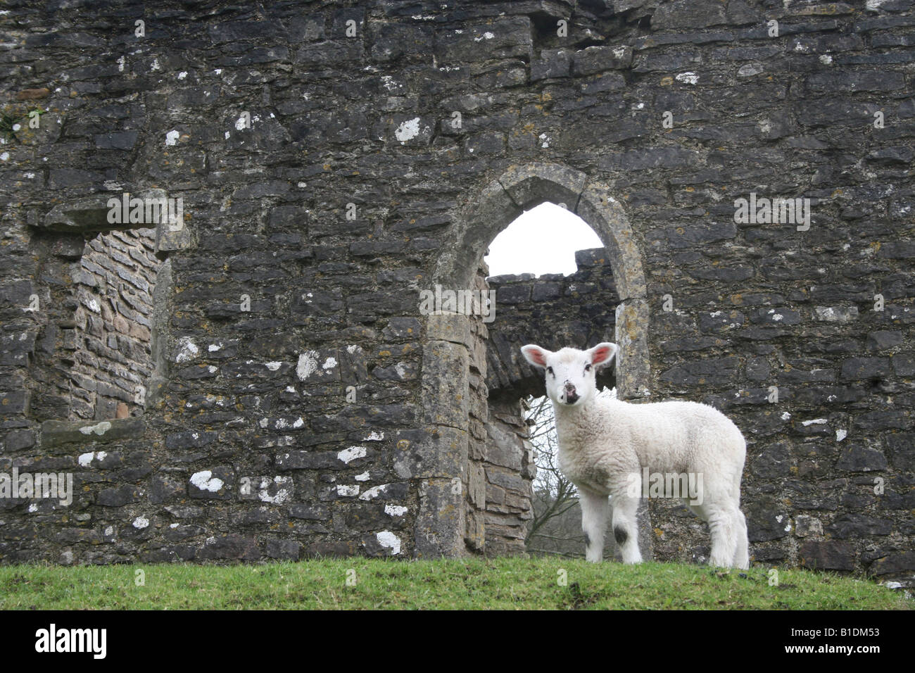 Lamb buildings hi-res stock photography and images - Alamy