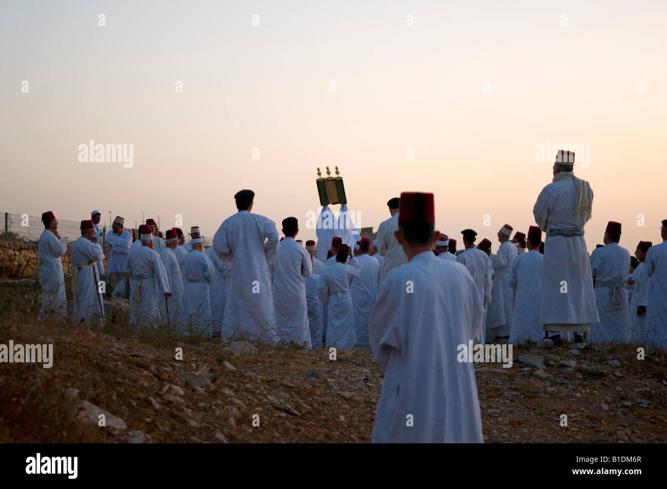 A Samaritan high priest raises a Torah scroll during Shavuot or Feast ...
