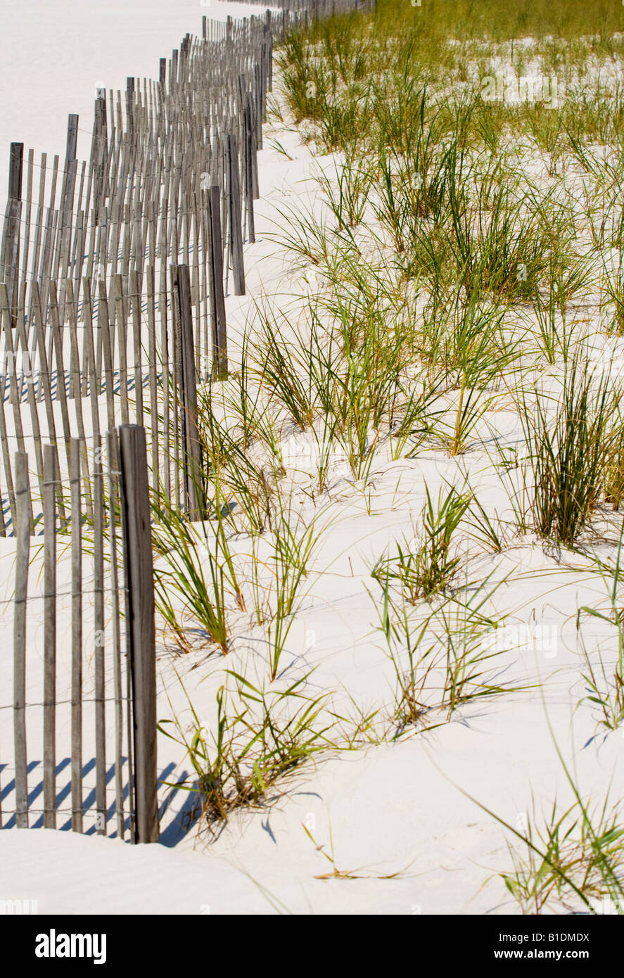beach fence to protect the sand dunes Stock Photo - Alamy