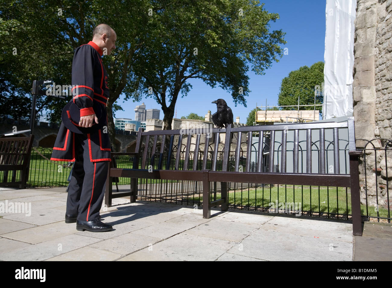 Raven master hi-res stock photography and images - Alamy