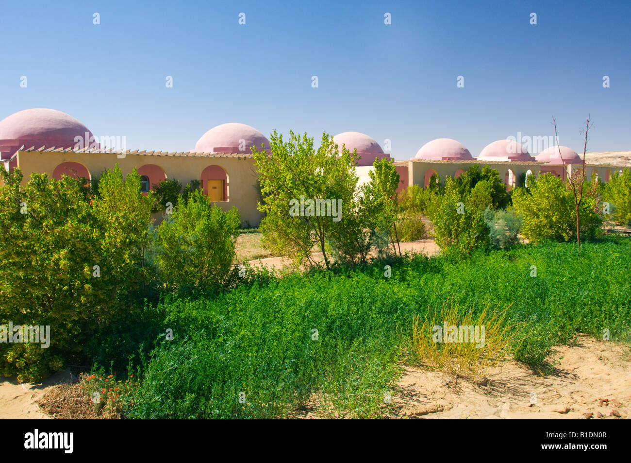 Bahariya oasis egypt hi-res stock photography and images - Alamy