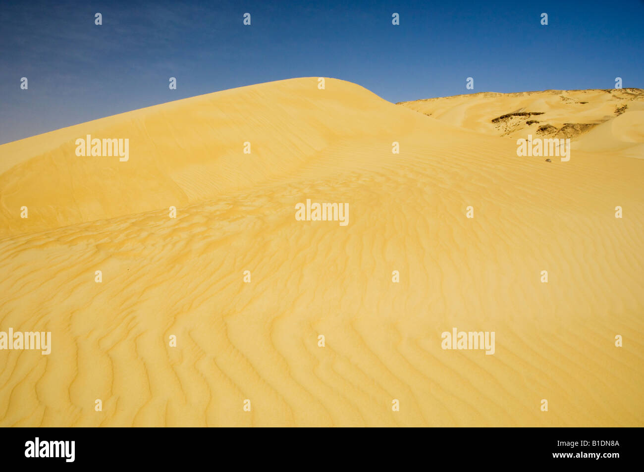 Sand dunes patterns and textures in the Bahariyya Oasis Egypt Stock ...
