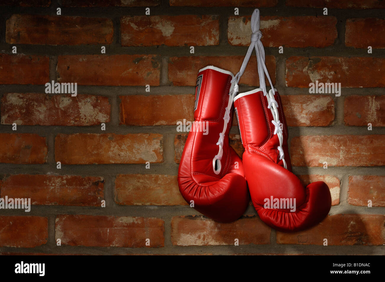 Boxing Gloves Stock Image at Imogen Parry-okeden blog