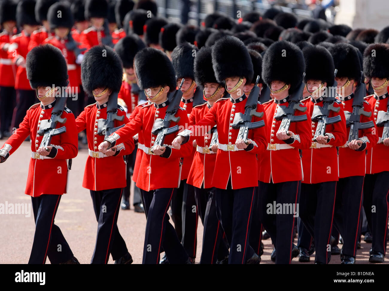 Rifle Regiment Stock Photos & Rifle Regiment Stock Images - Alamy