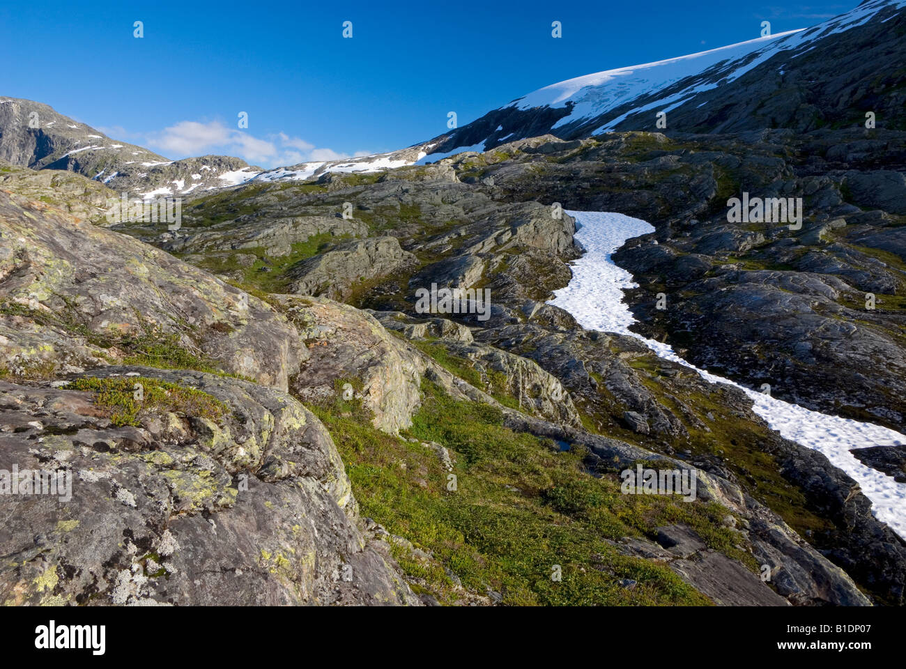 Never melting snow in Scandinavian mauntains Stock Photo - Alamy