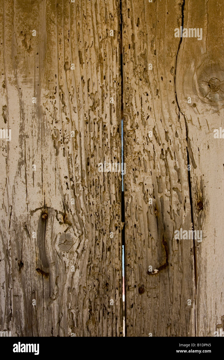 Grain pattern on wood texture background Stock Photo - Alamy