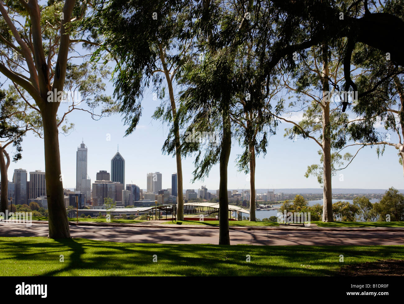 View of Perth city from Kings Park, Western Australia Stock Photo - Alamy