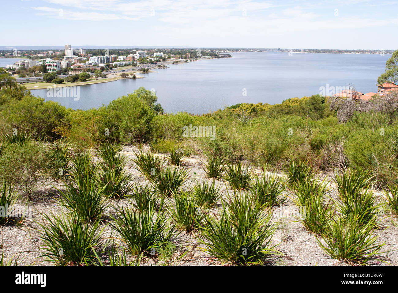 Botanical garden at Kings Park in Perth, Western Australia Stock Photo ...