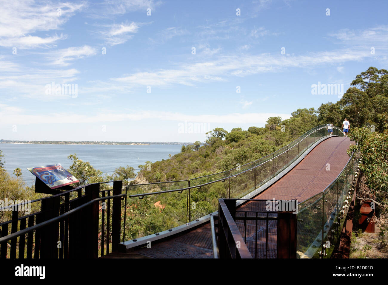 Elevated walkway at Kings Park in Perth, Western Australia Stock Photo ...