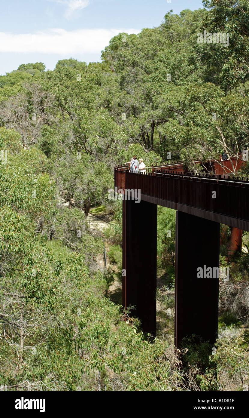 Elevated walkway at Kings Park in Perth, Western Australia Stock Photo ...