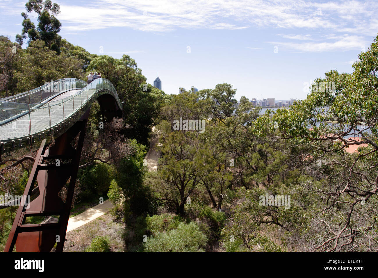 Elevated walkway at Kings Park in Perth, Western Australia Stock Photo ...