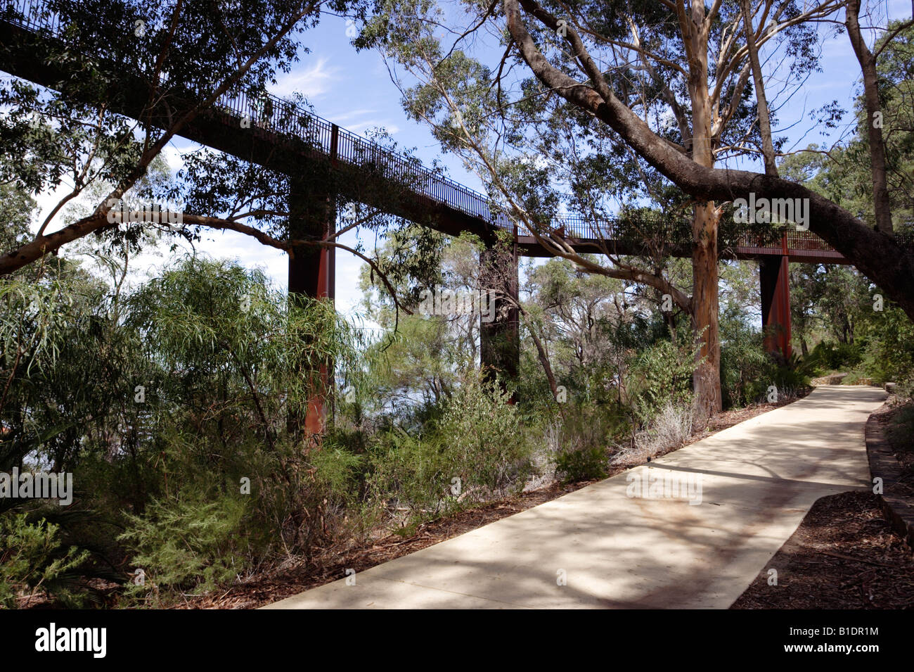 Elevated walkway at Kings Park in Perth, Western Australia Stock Photo ...