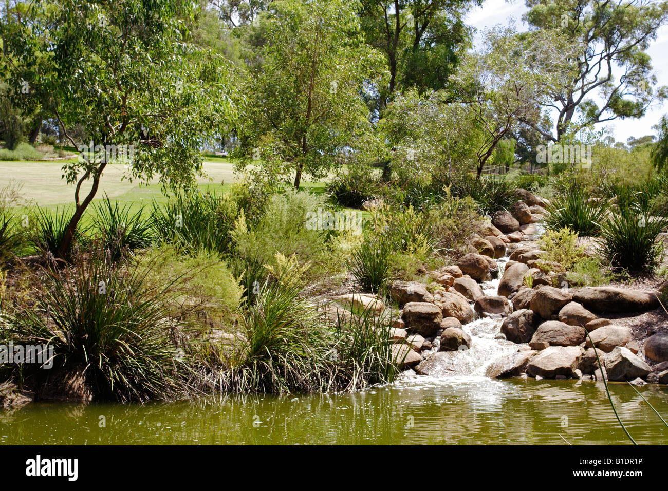 Botanical garden at Kings Park in Perth, Western Australia Stock Photo ...