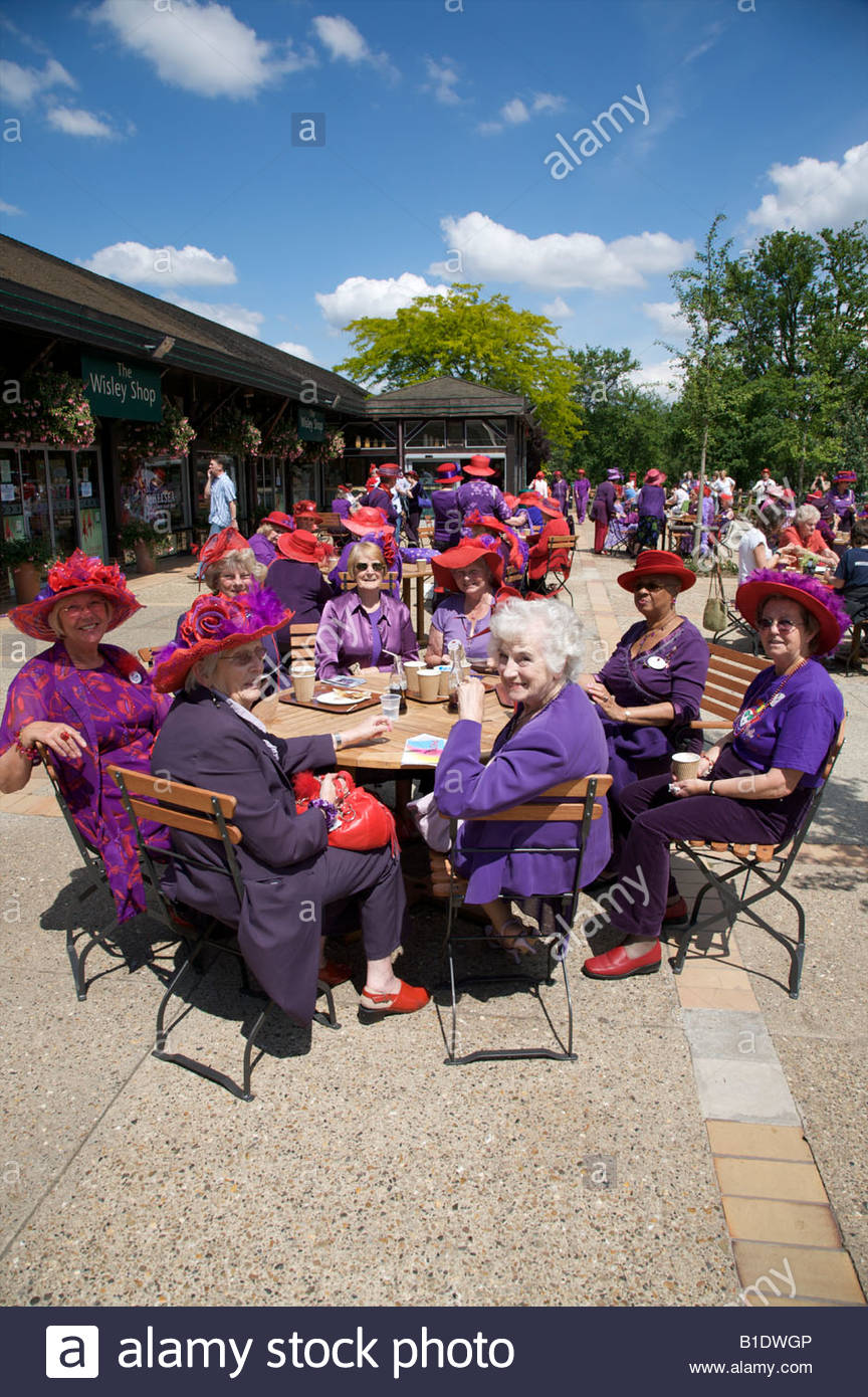 Brighton Belle Stock Photos & Brighton Belle Stock Images - Alamy