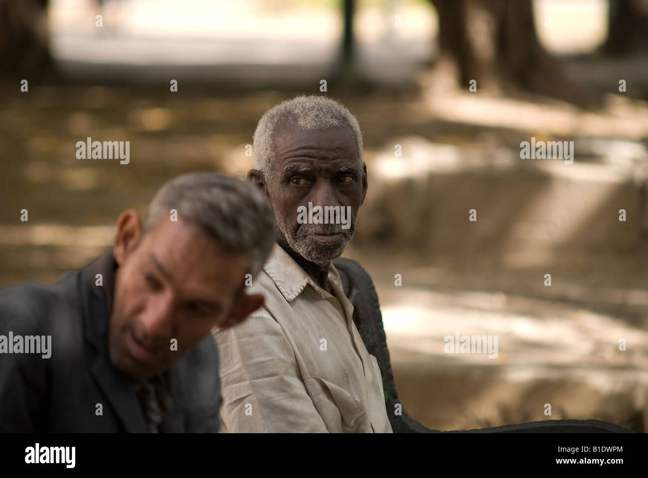 Old cuban men take a rest in a park of La Habana Vieja Stock Photo - Alamy