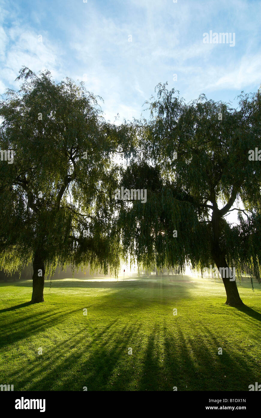 Early morning golf course spring hi-res stock photography and images ...