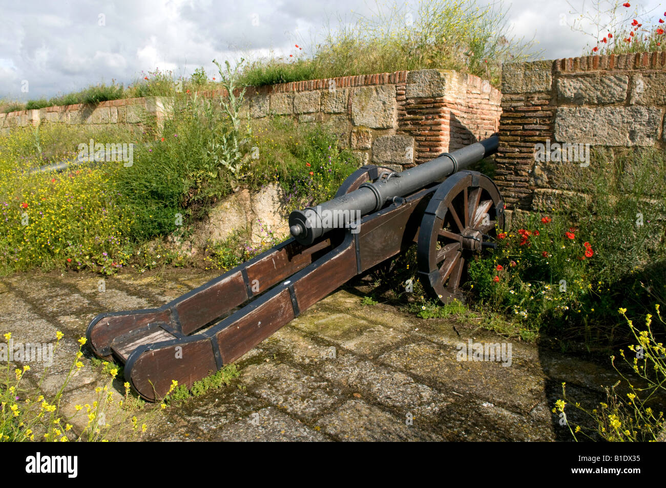 replica cannon Ciudad Rodrigo, Spain Stock Photo - Alamy