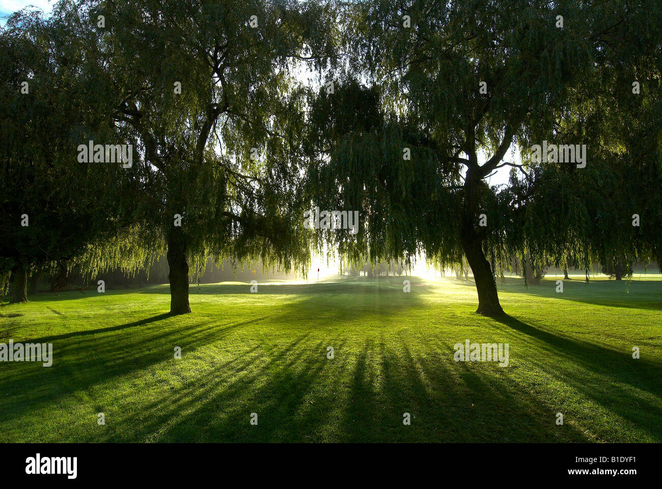 Early morning golf course spring hi-res stock photography and images ...