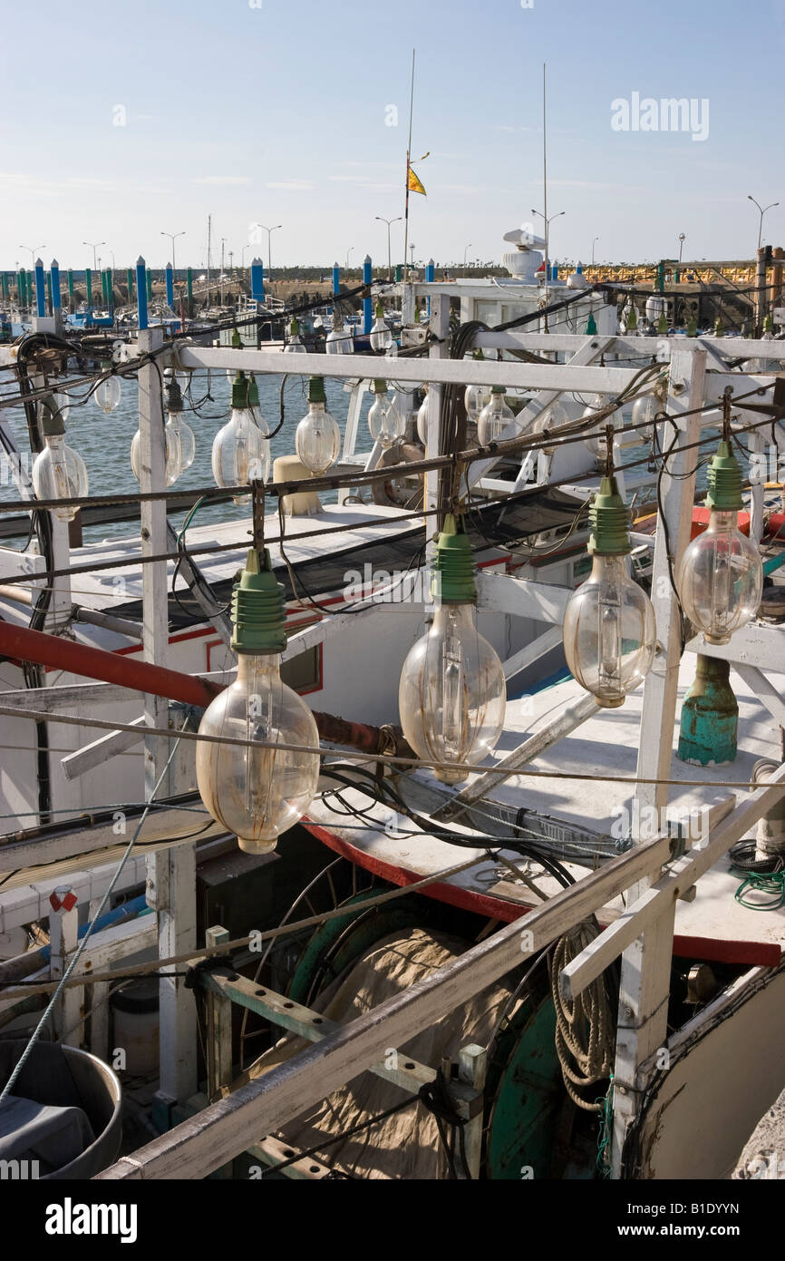 Squid fishing boats moored in the harbor, Nanliao, Hsinchu, Taiwan, ROC ...