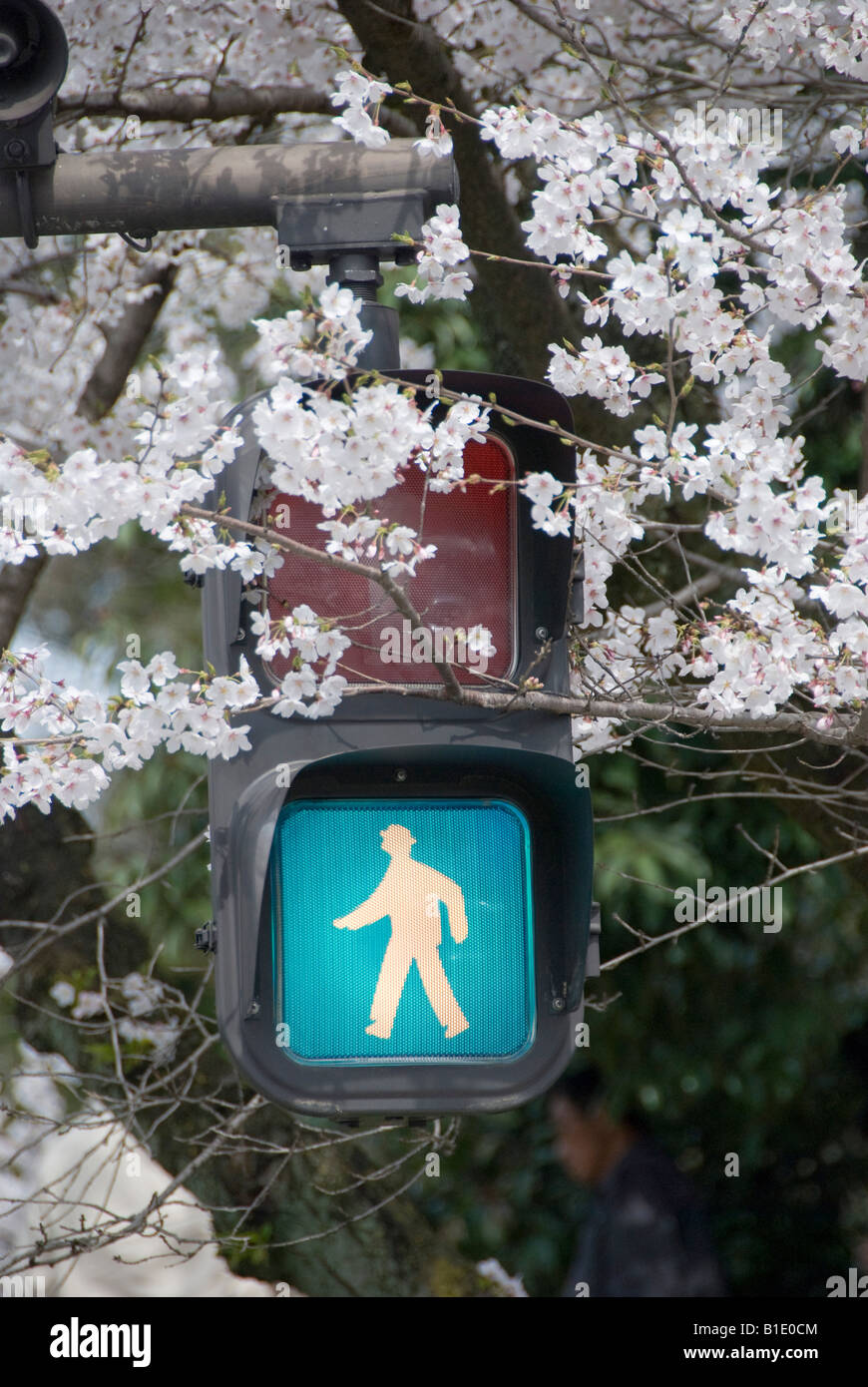 Japan Green Light Traffic High Resolution Stock Photography and Images ...