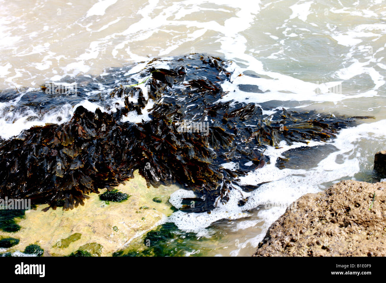 Beaches choppy coast coastal ocean oceans hi-res stock photography and ...