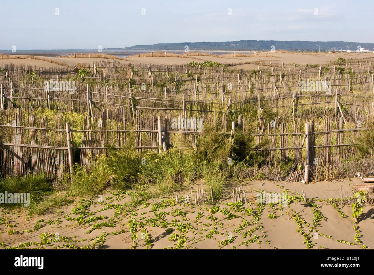 Erosion control techniques in use at a beach in Hsinchu, Taiwan. The ...