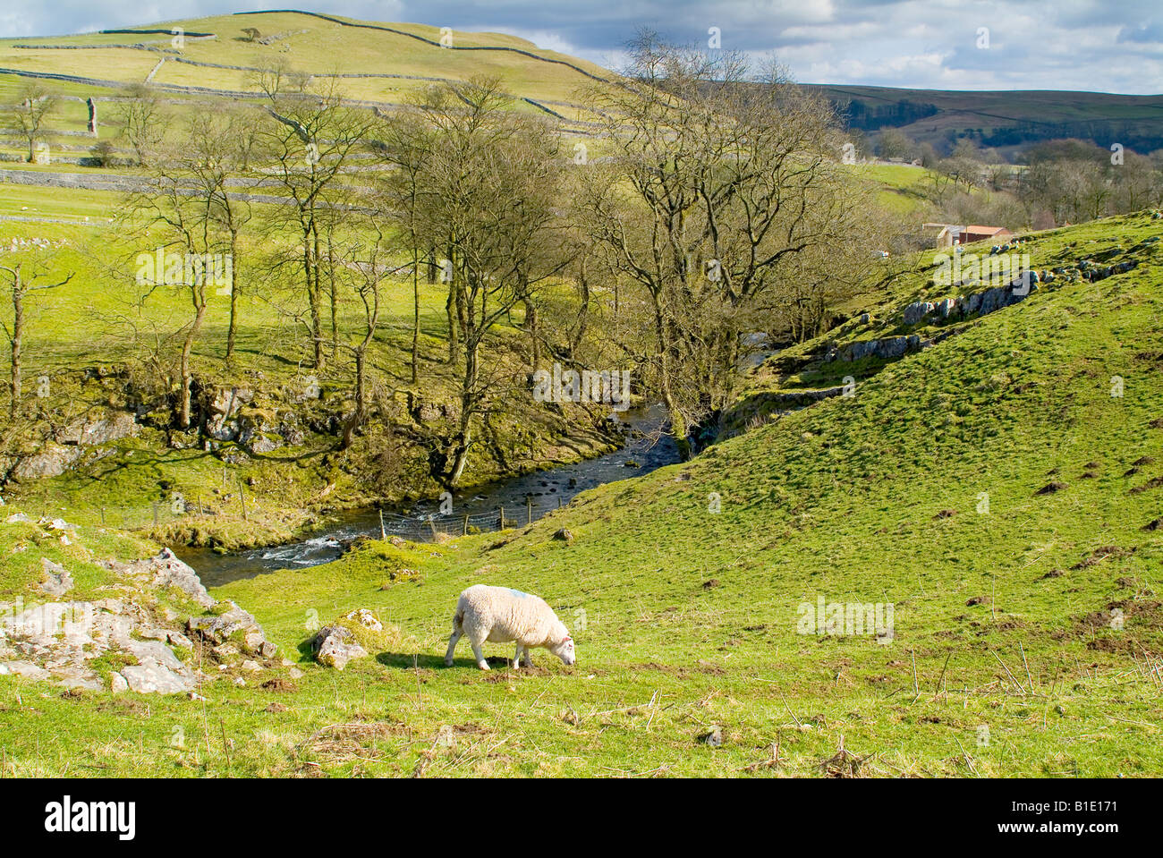 Malham moor craven north yorkshire hi-res stock photography and images ...