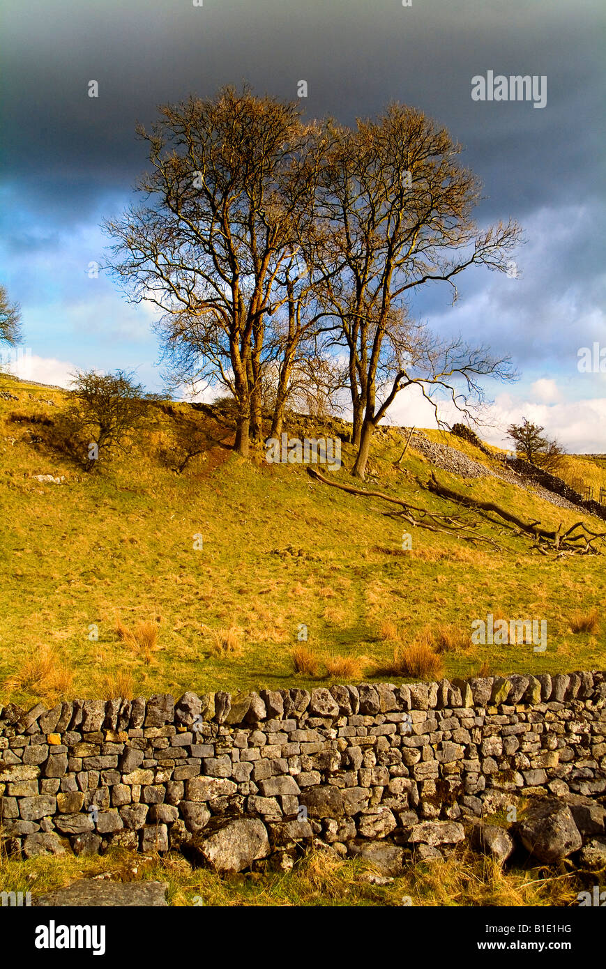 Malham moor craven north yorkshire hi-res stock photography and images ...