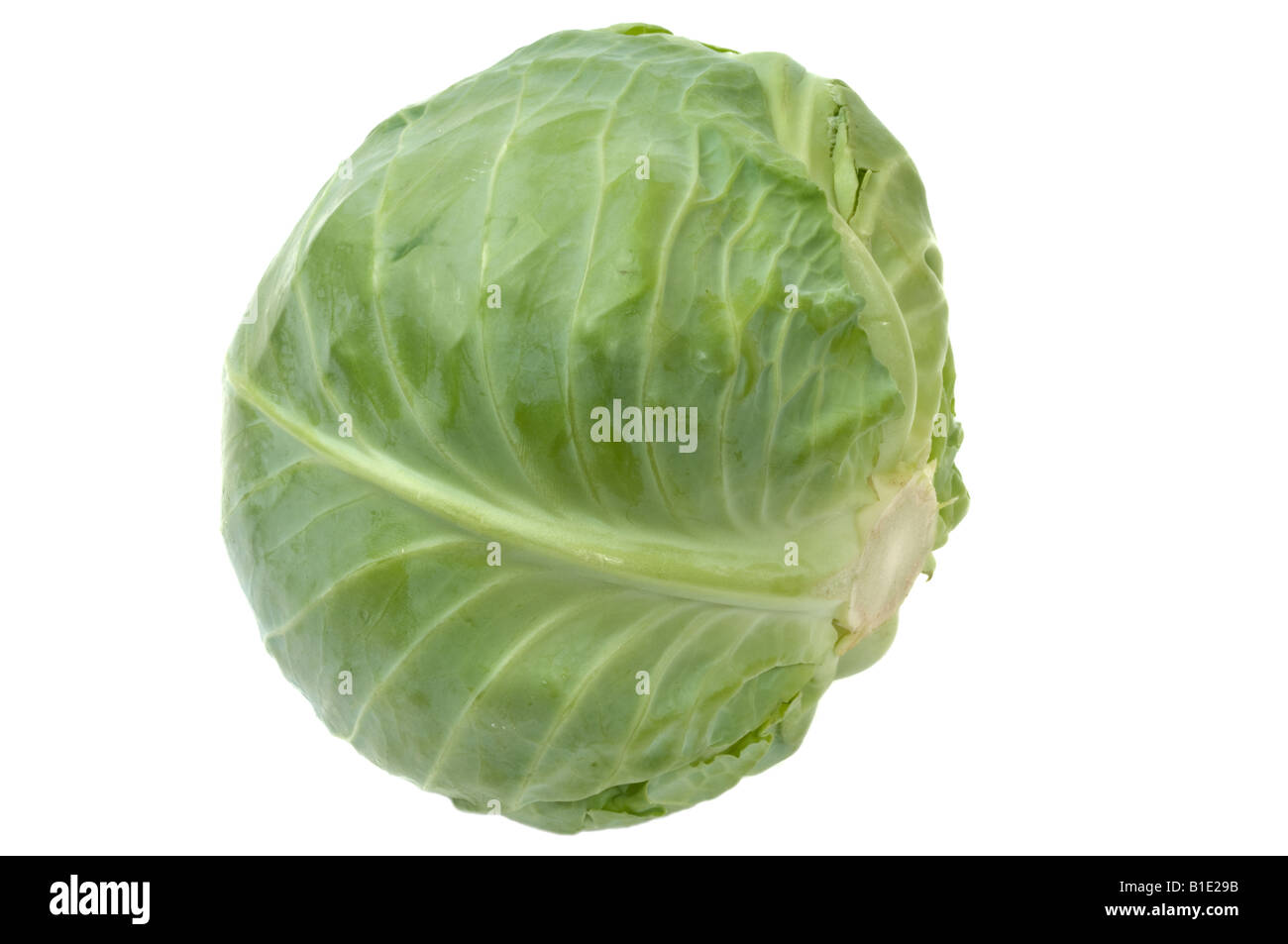 Green round Cabbage Stock Photo - Alamy