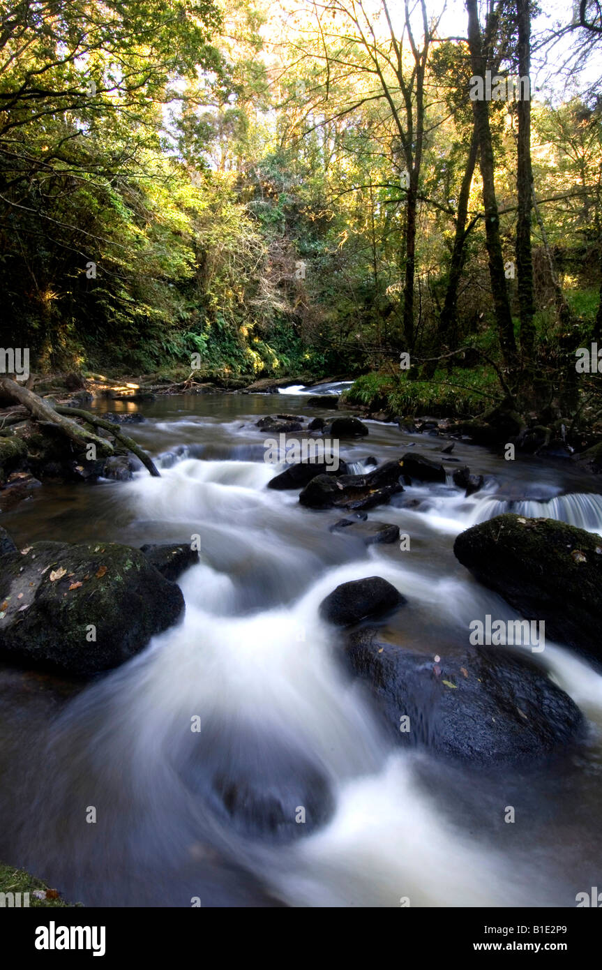 Clare Glens Clare River Limerick Ireland Stock Photo - Alamy