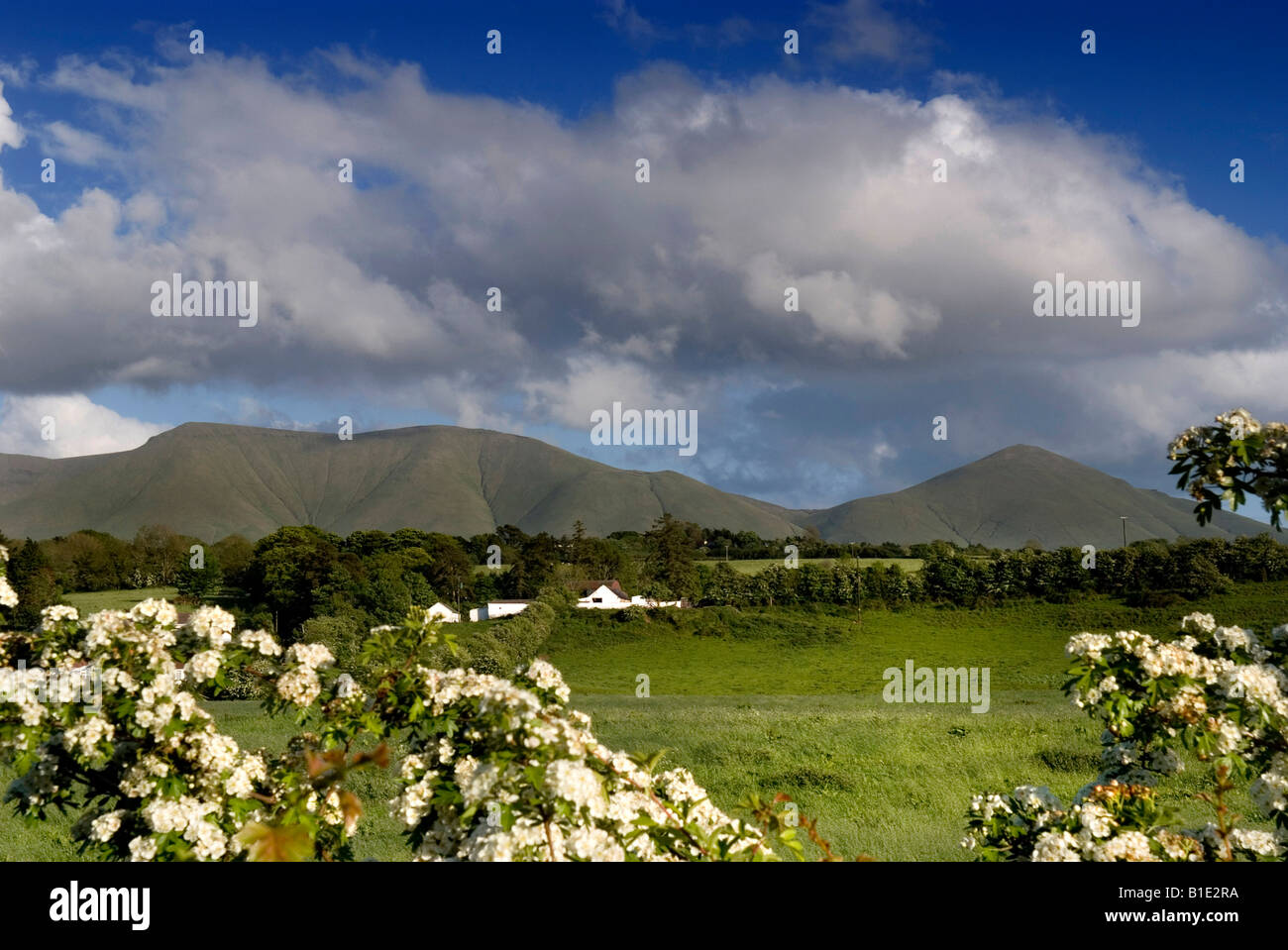 Galbally hi-res stock photography and images - Alamy