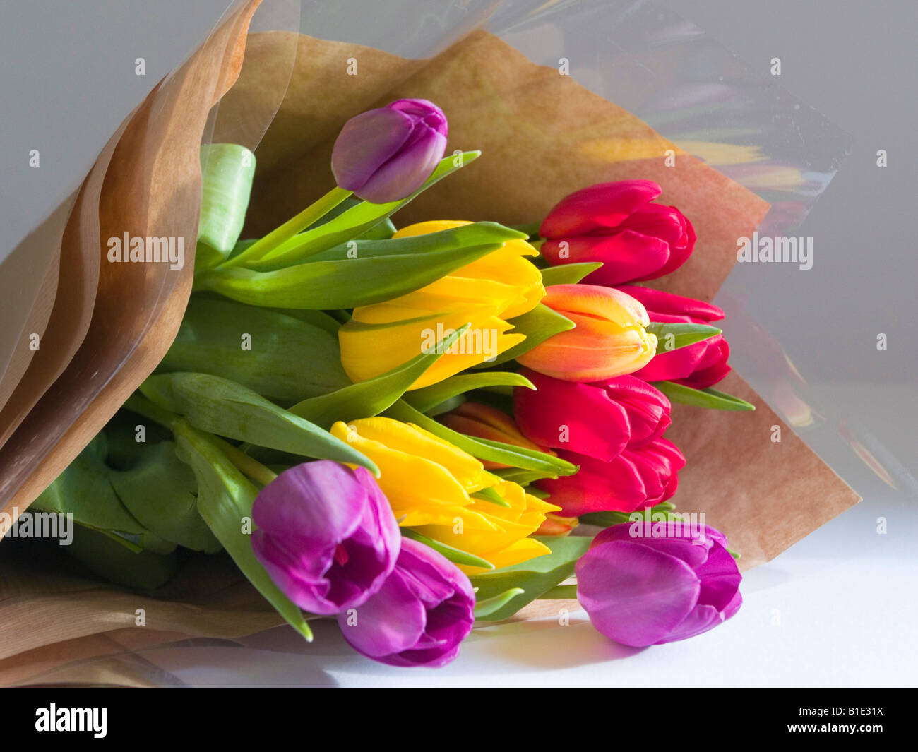 A bright and colourful bunch of Tulips wrapped in paper Stock Photo - Alamy