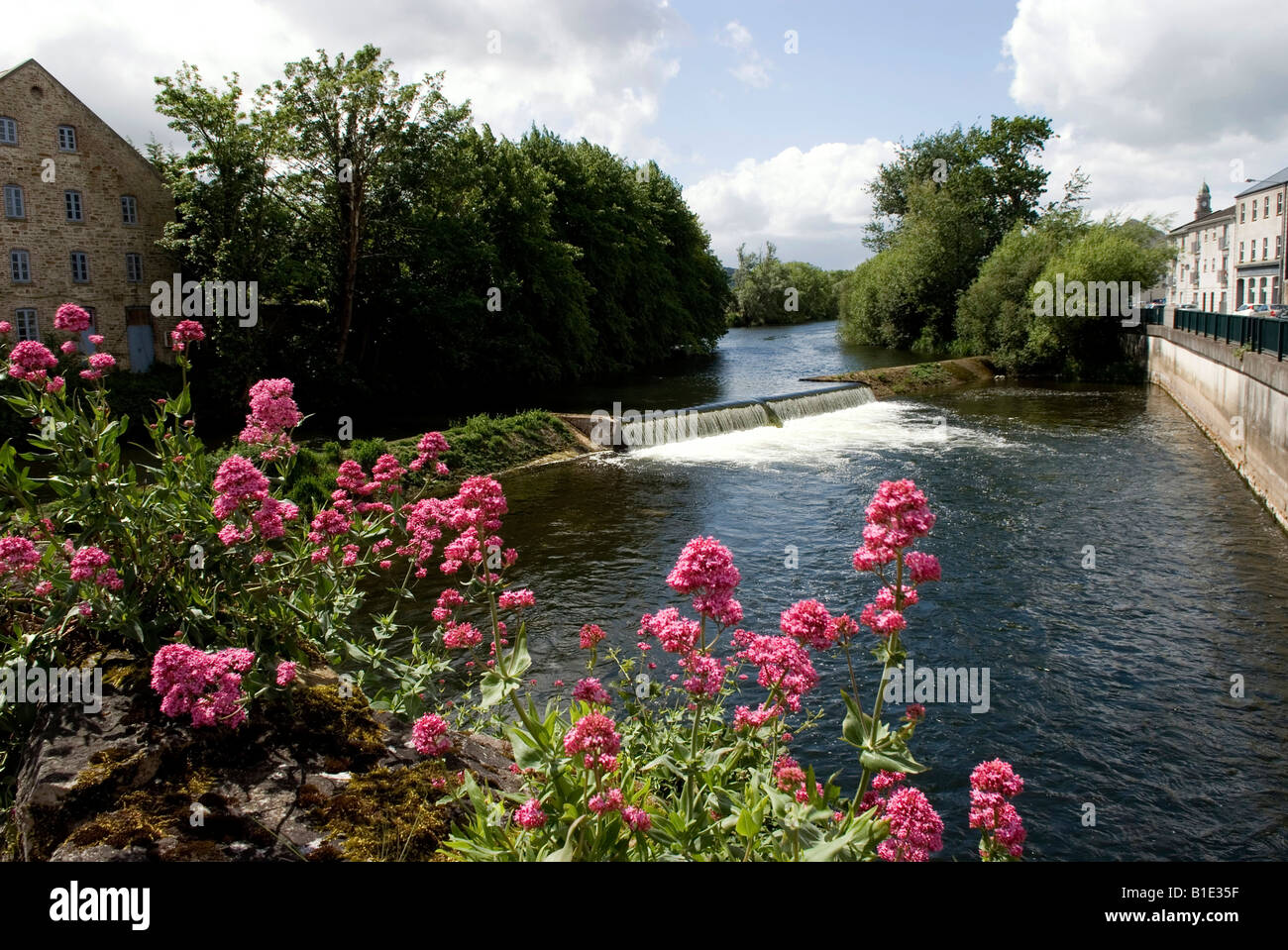 Carrick On Suir Tipperary Ireland Stock Photo - Alamy